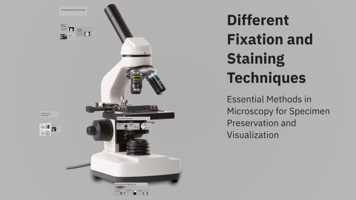 Different Fixation and Staining Techniques by Nayan Shivankar on Prezi