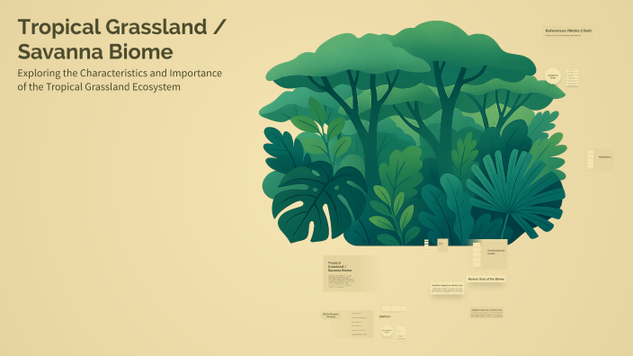 Tropical Grassland / Savanna Biome by Tyress Thomas on Prezi
