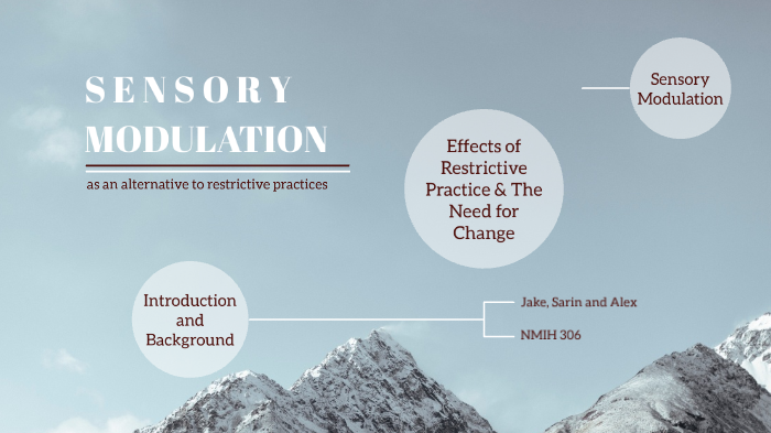 Sensory Modulation by Sarin Kilkeary on Prezi