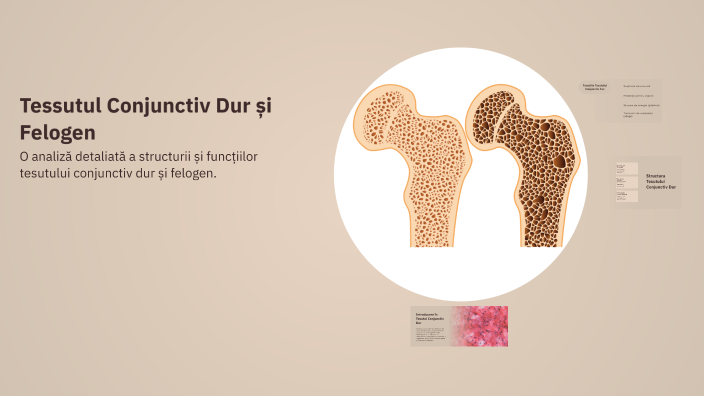 Tessutul Conjunctiv Dur și Felogen by Eusebiu Udrea on Prezi