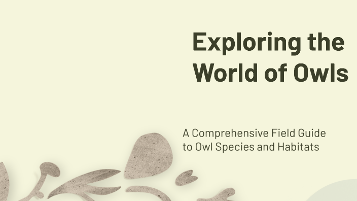 Exploring the World of Owls by Aiza Atif on Prezi