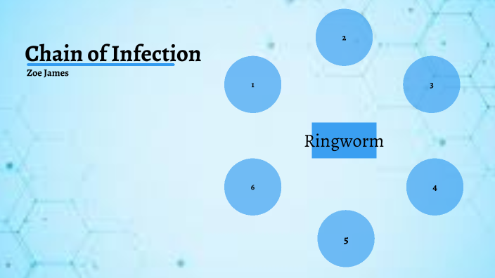 Chain of Infection: Ringworm by Zoe James on Prezi