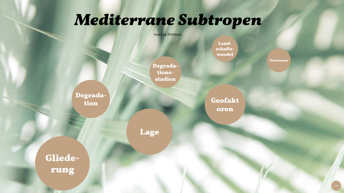 Mediterrane Subtropen by Laura Thiel on Prezi