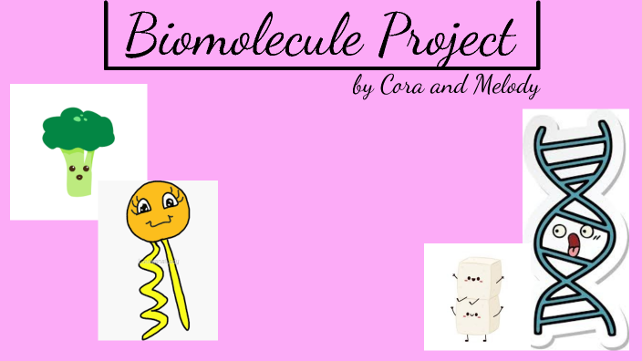 Biomolecule Project by Melody Wozniak on Prezi