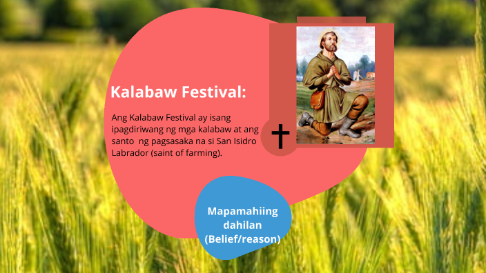 Kalabaw Festival by Margarita DIMAYUGA on Prezi