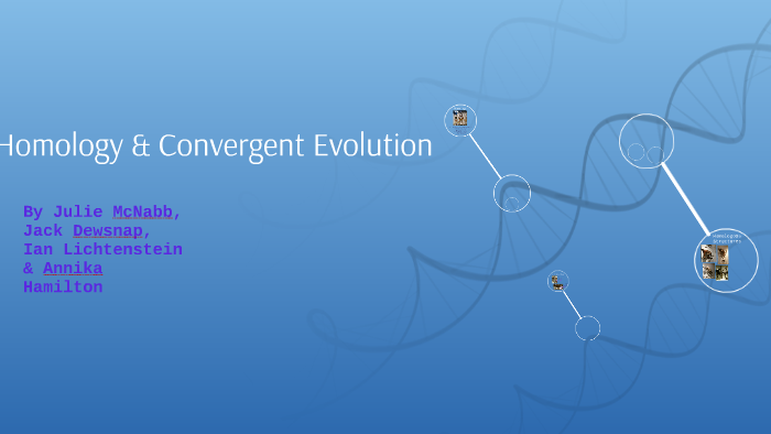 Homology & Convergent Evolution by Annika H on Prezi