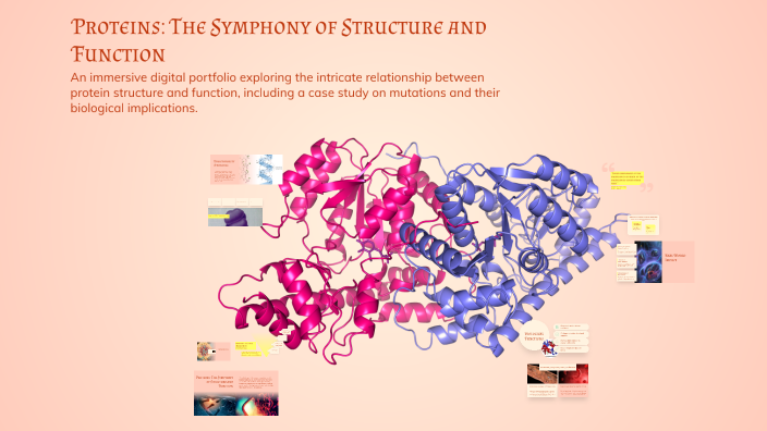 Proteins: The Symphony of Structure and Function by Joury Alhammadi on ...