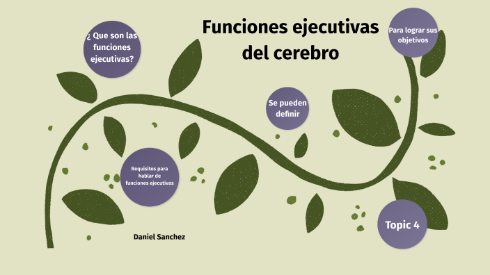 Funciones ejecutivas del cerebro by daniel sanchez
