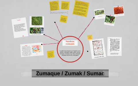 Zumaque / Zumak / Sumac by on Prezi