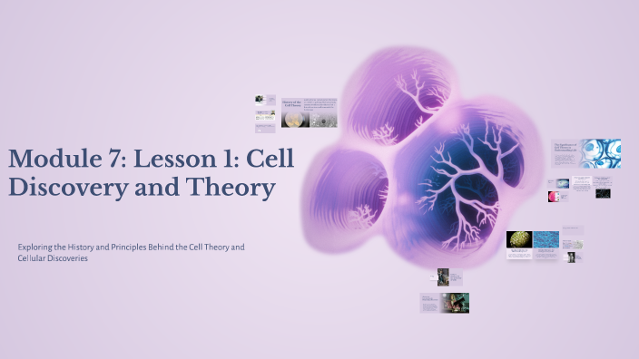 Cellular Structure and Function: Understanding Cell Discovery and ...