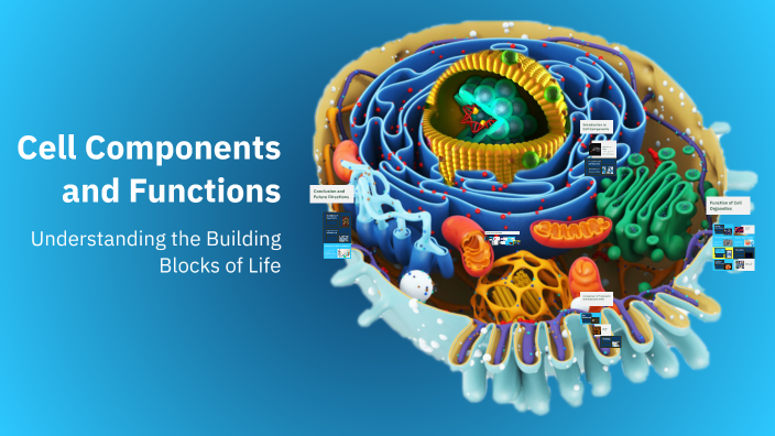 Cell Components and Functions by NIRMALKUMAR CHELVAN on Prezi
