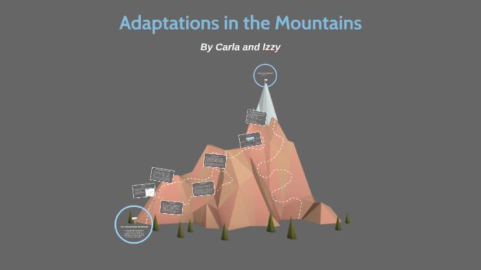 Adaptations in the Mountains by Carla Scully on Prezi