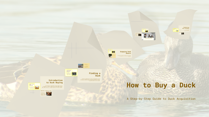 How to Buy a Duck by anna leckey on Prezi