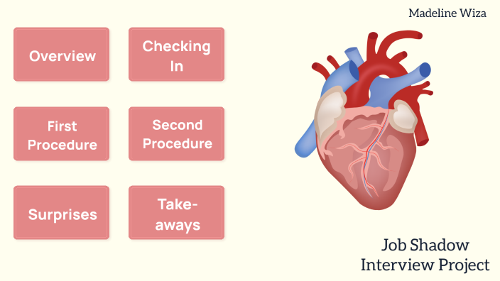 Job Shadow Presentation by Madeline Wiza on Prezi