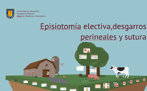 Episiotomia by Jose Miguel Brito on Prezi