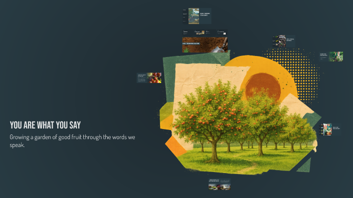 The Four Phases of Planting: Producing Good Fruit through Biblical ...