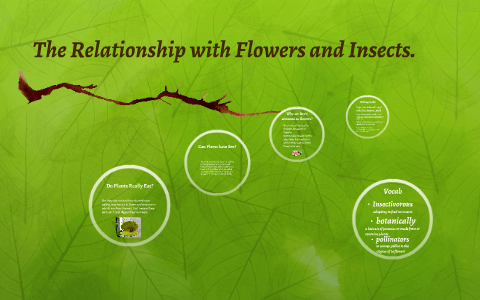 The Relationship with Flowers and Insects. by cristian botello on Prezi
