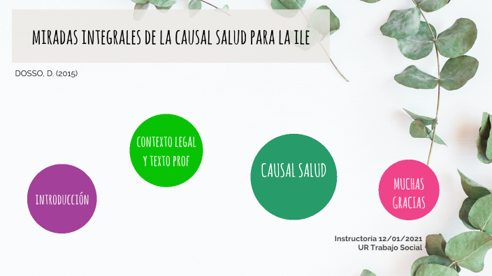 DOSSO - Miradas integrales de la causal salud en ILE by Mili Cepeda on ...
