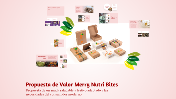 Propuesta de Valor Merry Nutri Bites by elias alberto mayorga viveros ...