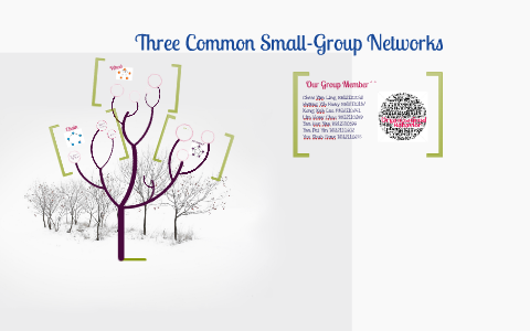 Three Common Small-Group Networks by Tan Hor Yan on Prezi