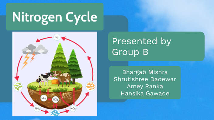 nitrogen cycle by Bhargab Mishra on Prezi