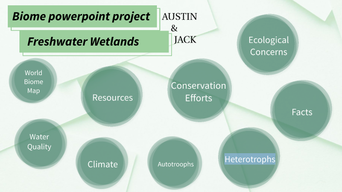 freshwater Wetlands Biome project by austin hrizuk on Prezi