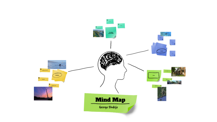 SCM 105 Mind Map by George Sladoje on Prezi