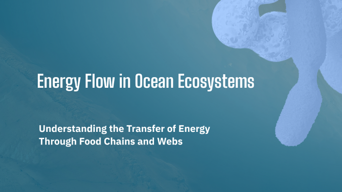 Energy Flow in Ocean Ecosystems by isaac carrasco on Prezi