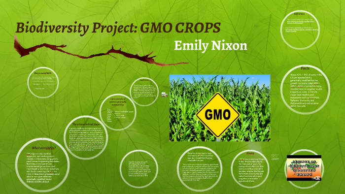Biodiversity Project: GMO CROPS by Emily Nixon on Prezi