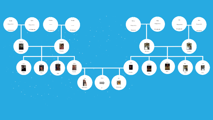 My family tree by Nolan Doyle on Prezi