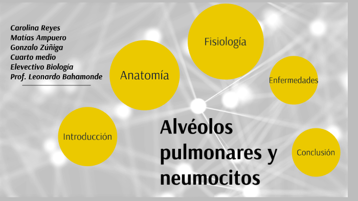 Alvéolos Pulmonares Y Neumocitos By Cora Line On Prezi