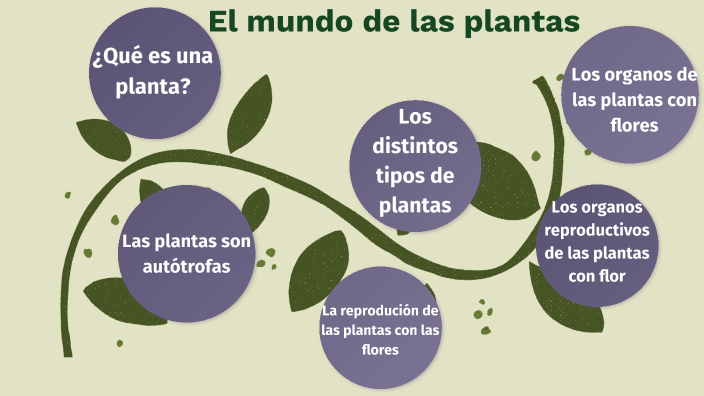 el mundo de las plantas by Mara Bernal Jimeno on Prezi