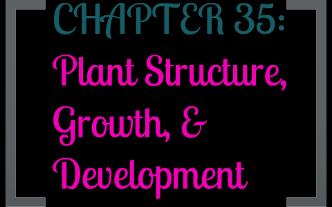 CHAPTER 35: PLANT GROWTH, STRUCTURE, AND DEVELOPMENT. by Amrita Patil ...