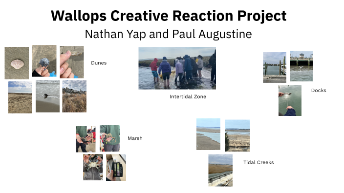 Wallops Creative Reaction Project - Nathan Yap and Paul Augustine by ...
