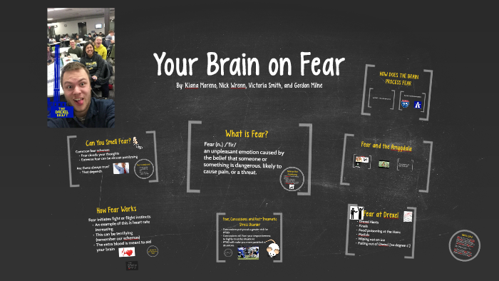 Your Brain on Fear by on Prezi