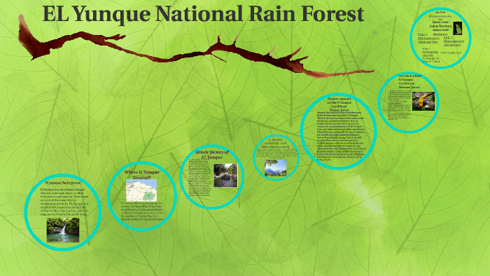 EL Yunque National Rain Forest by Jason Cruz on Prezi