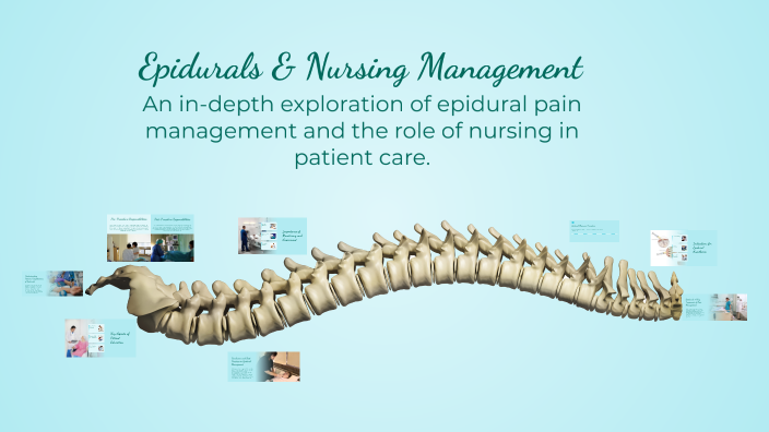 Epidurals & Nursing Management by Paige Pyke on Prezi