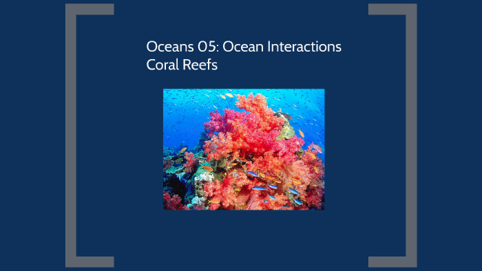 Oceans 05: Ocean Interactions by adam gintner on Prezi