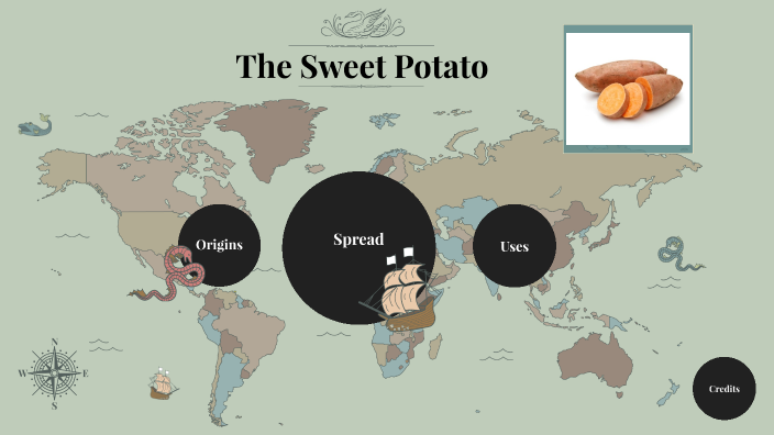 Sweet Potato, an Origin Story by A W on Prezi