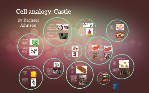 Cell analogy: Castle by Rahael Johnson on Prezi