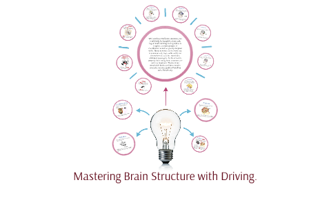 Mastering Brain Structure with Driving. by K H on Prezi