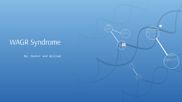 WAGR Syndrome by Hunter s