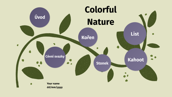Cévnaté rostliny by Eliška Kletečková on Prezi