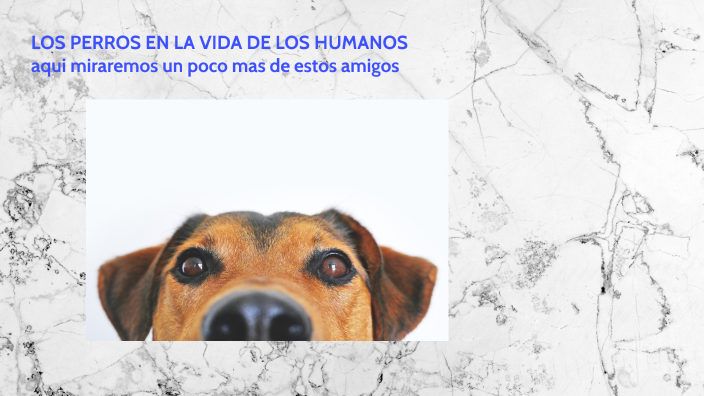 los perros en la vida de los humanos by Dana valentina Roa Roa on Prezi