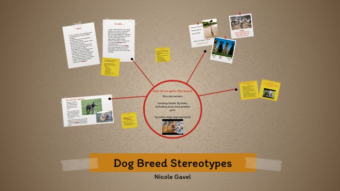 Dog Breed Stereotypes by Nicole Gavel on Prezi
