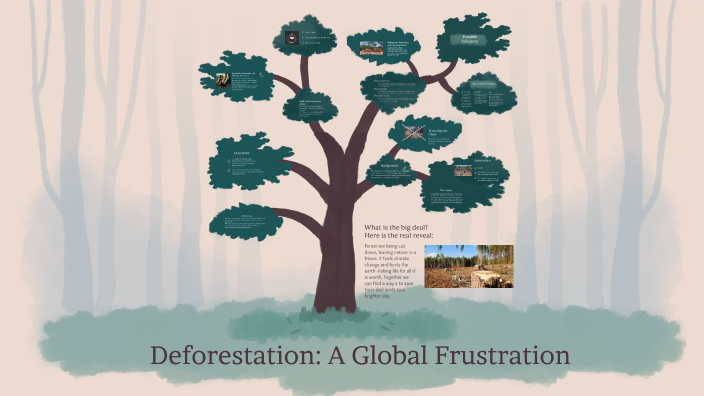 SCI1015 Week 13 Lab: Case Study by Jaden Helget on Prezi