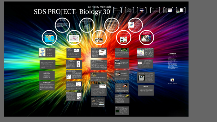 SDS PROJECT by hailey mcintosh on Prezi