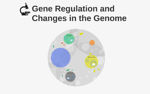 Immunoglobulin and T-cell Receptors by Audrey Merriam on Prezi