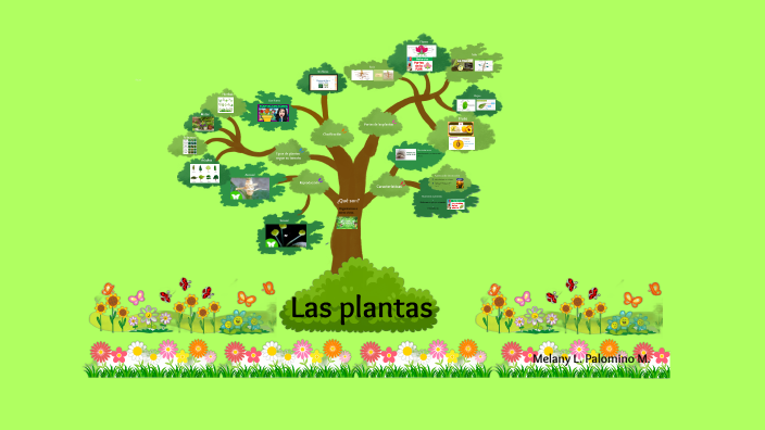 Las plantas y sus funciones by MELANY LORETH PALOMINO MARRIAGA on Prezi
