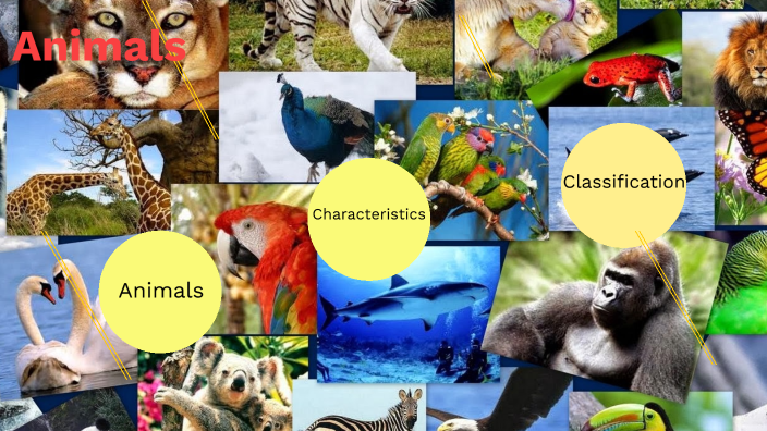 Animals underground by JOSEPH SEBASTIAN ATARIGUANA NEVAREZ on Prezi